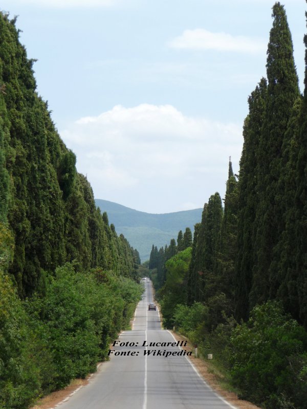 Viale di Cipressi, Castagneto Carducci-Bolgheri (LI)
