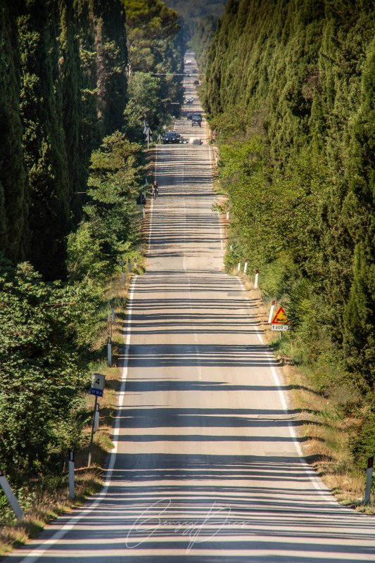 Viale di Cipressi, Castagneto Carducci-Bolgheri (LI)